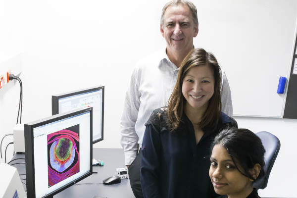 AMRF: Supporting eye research - nzoptics