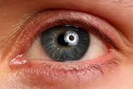 Improved gland transplantation technique for severe DED